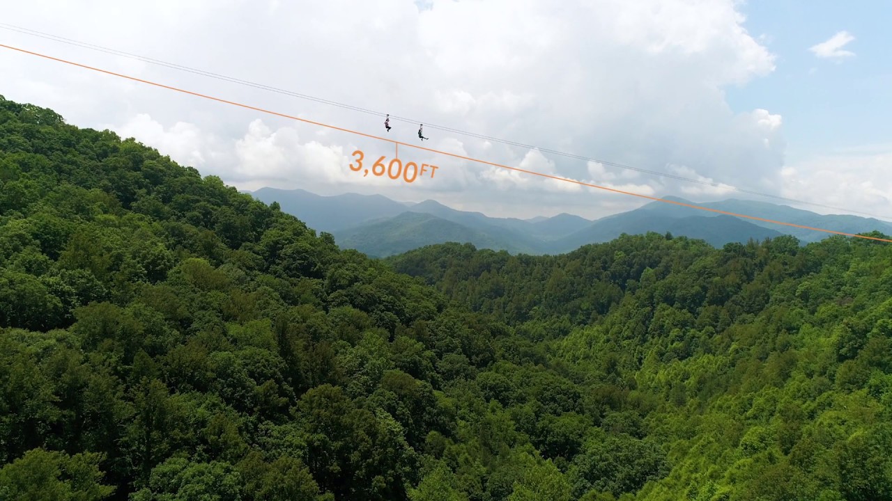 Navitat Canopy Adventures Asheville, NC Mountaintop Tour