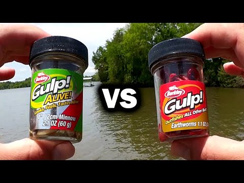 GULP Minnow vs GULP Worm Beginner Friendly Baits for Bank Fishing, Huge ...