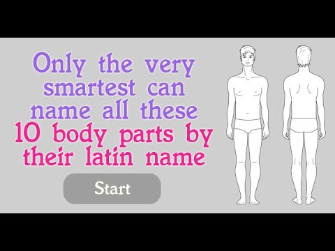 Quiz : Latin names for our body parts