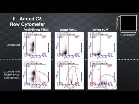 Invitra ECM Suspension Product Summary