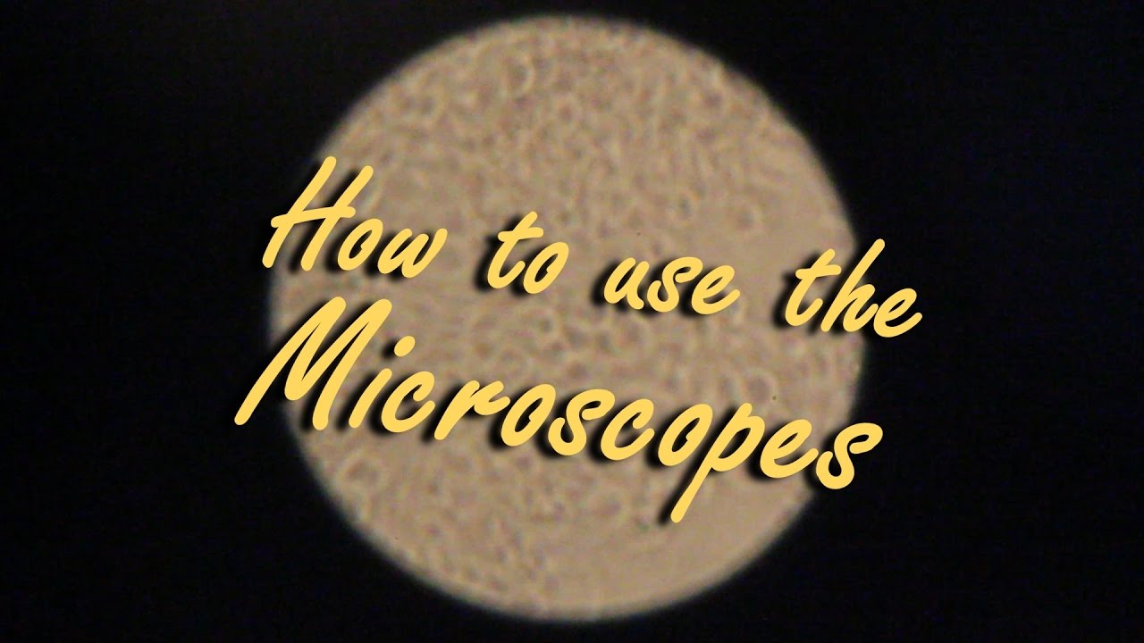 How to Use the Microscopes