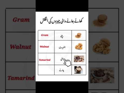 Most useful vocabulary|English to urdu|Urdu to Englisn