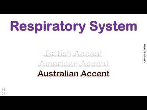 Respiratory System How to Pronounce Respiratory System in Australian, British, American Accent ?