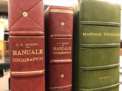 The Creative Evolution of Type Specimens