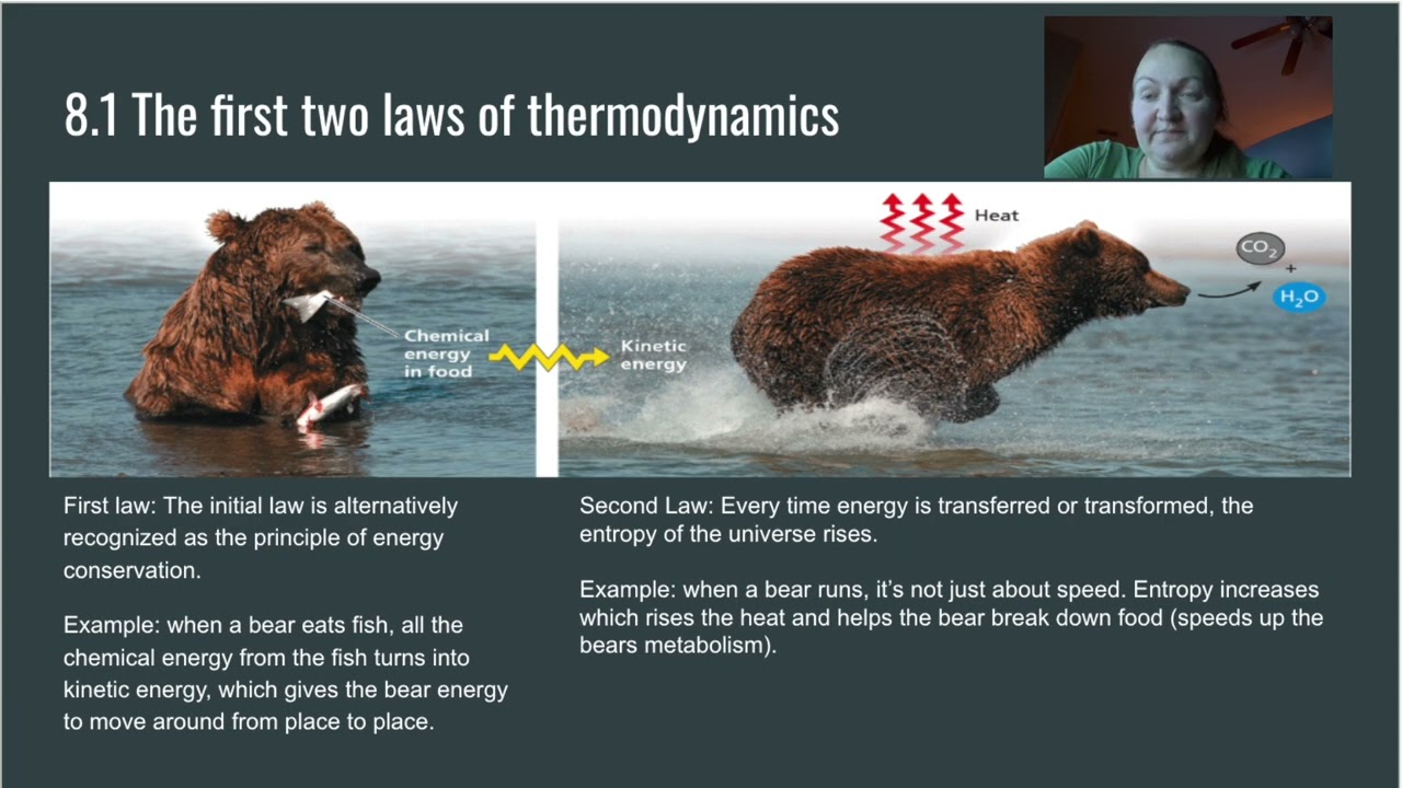 Enzyme Powerpoint - Bio 181
