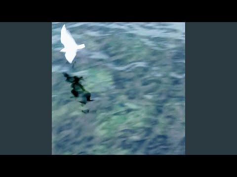 otse zvuchyt (w/igar melnyk)