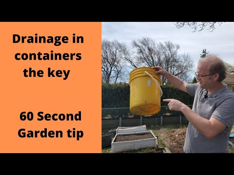 Drainage for containers not in the bottom 5 gallon bucket- 60 Second Garden Tip
