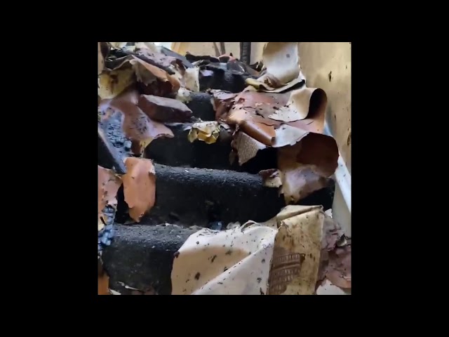 Fortnite pro's house burns down, he loses everything in the devastating ...