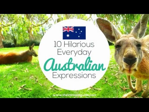 Aussie Slang 🇦🇺 10 Hilarious Australian Expressions