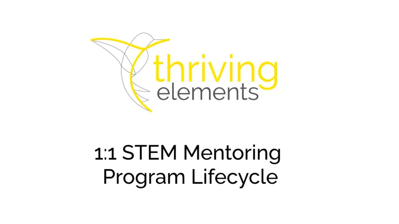 Thriving Elements: Mentoring Lifecycle