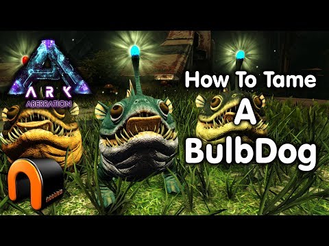 Top 10 Ark Survival Evolved Best Tames (Best Early Tames for Beginners ...