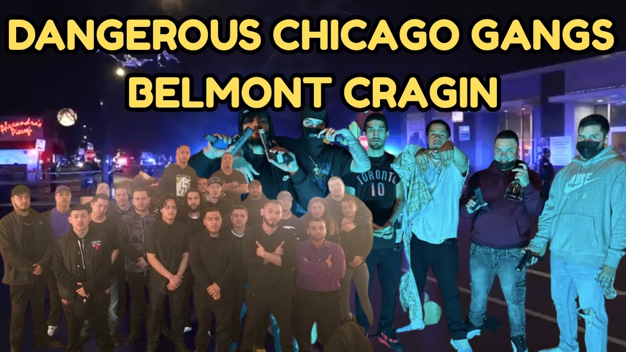 Dangerous Chicago Gangs: Belmont-Cragin: Home of the Maniac Latin Disciples, 4 Corner Hustler & More