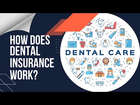 How does Dental Insurance work? | Health Insurance Agent Venice, Florida