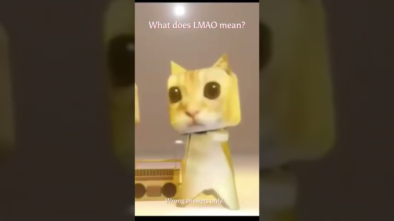 What does LMAO mean?