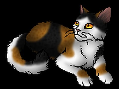 Top Ten Prettiest Warrior Cat Name Prefixes