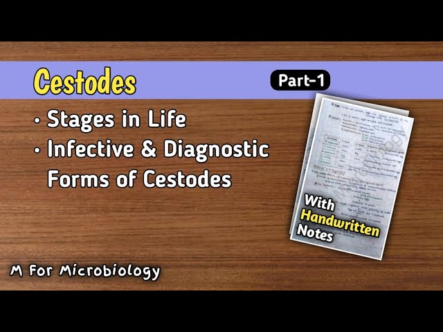 Understanding Cestodes: Life Cycle, Classification, and Key ...