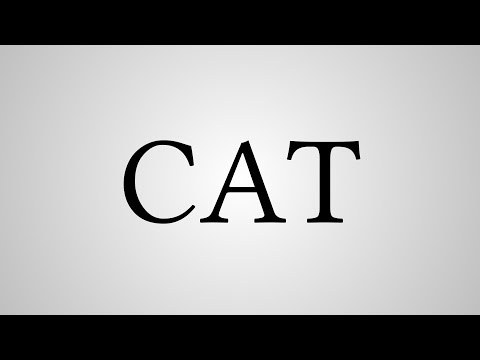 What Does "CAT" Stand For?