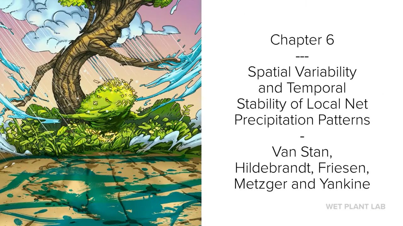 Precipitation Partitioning (06): Patterns of Throughfall and Stemflow