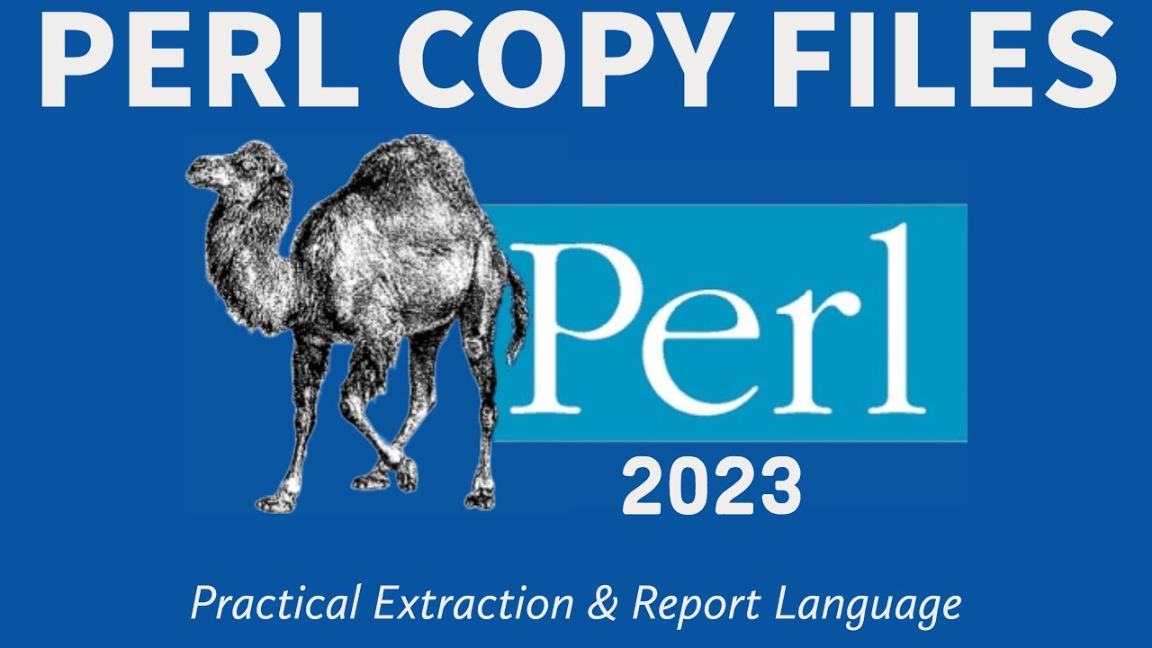 Perl Programming - Copy Files 2023