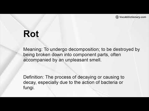 Rot Meaning