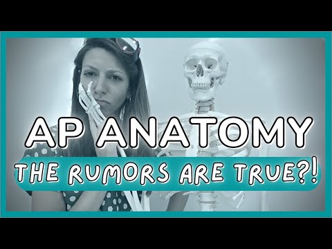 Everything we know so far about AP Anatomy & Physiology