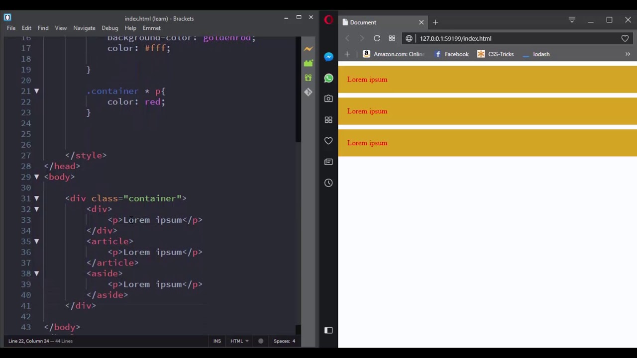 Universal Selector ( Master CSS Selectors )