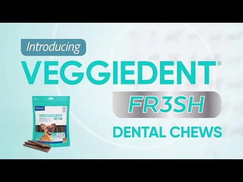 Buy VeggieDent Chews For Dogs Online | ePETstore