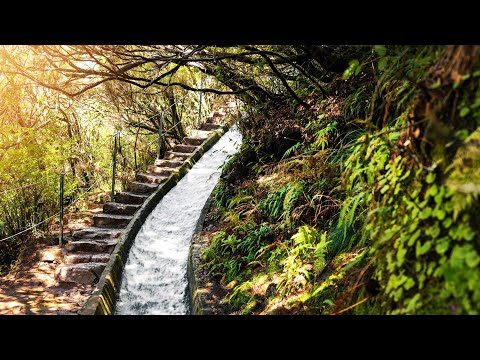 How Madeira's Mountains Supply Freshwater For The Island | Islands of the Future