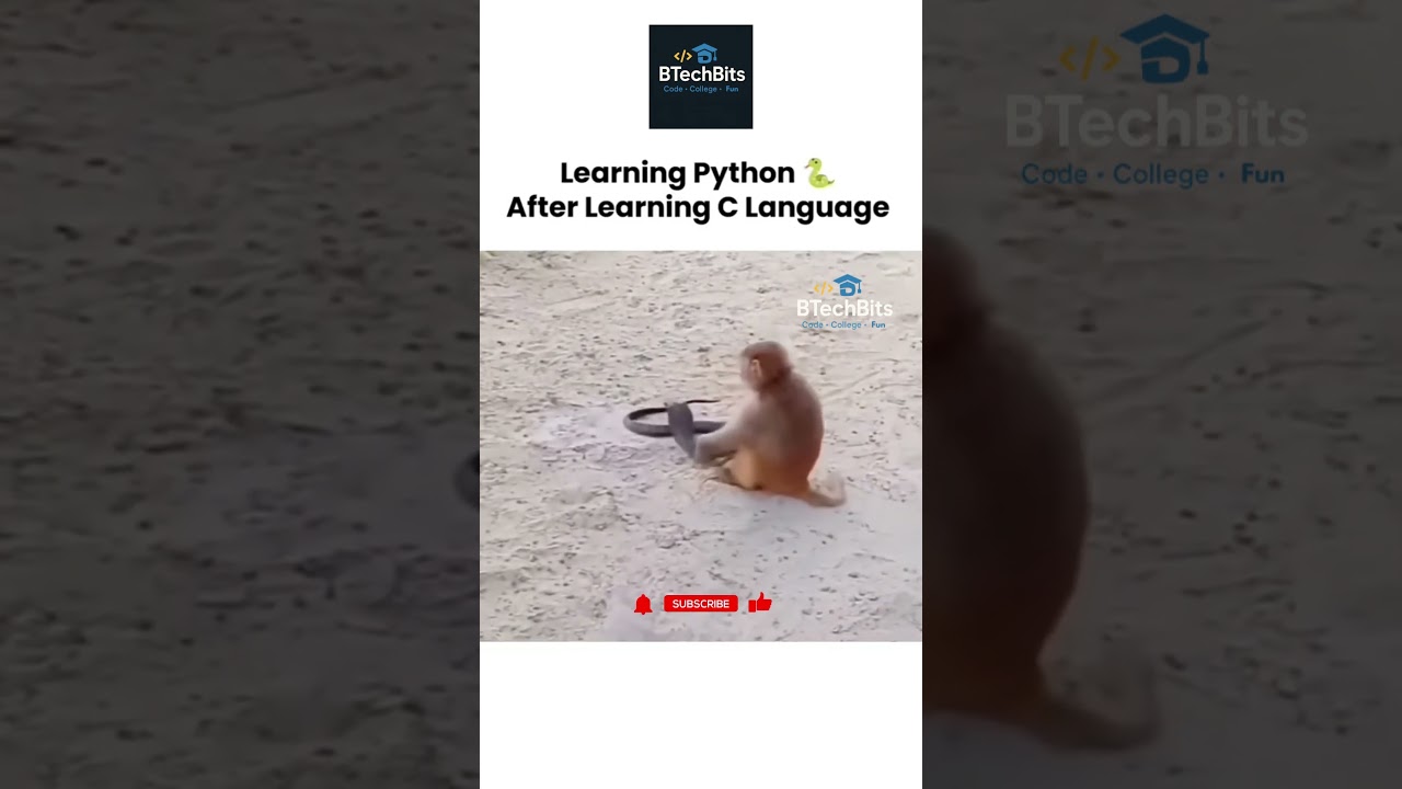 Learning python after learning C language #viral #funny #jokes #memes