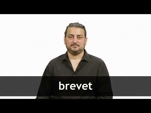 English Translation of “BREVET” | Collins French-English Dictionary