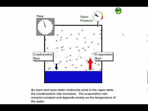 Vapor Pressure, Equilibrium Vapor Pressure, and Relative Humidity