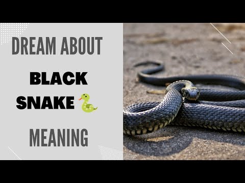 Dream about a Black Snake Meaning | Black Snake in dreams interpretation