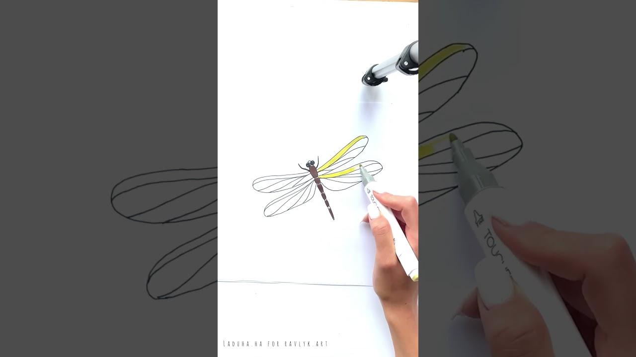 Create Stunning Dragonfly Art: Step-by-Step Tutorial for Beginners | #shorts #drawing #RavlykArt