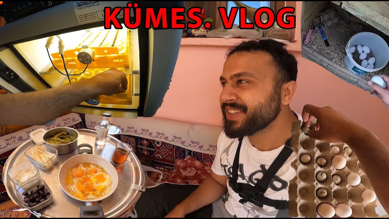 KÜMES İŞLERİNDEN SONRA KENDİME KAHVALTI HAZIRLADIM ! - Doğal Köy Kahvaltısı - Yumurta Toplama Tavuk