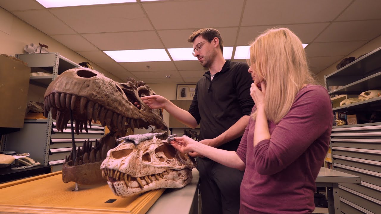 University of Calgary : Rankings, Fees & Courses Details | TopUniversities