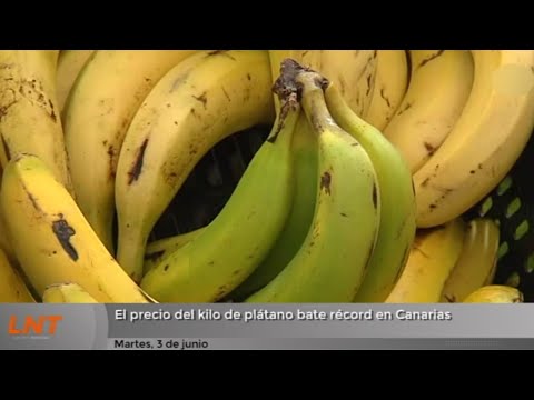 El precio del kilo de plátano bate récord en Canarias