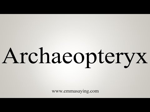 How To Say Archaeopteryx
