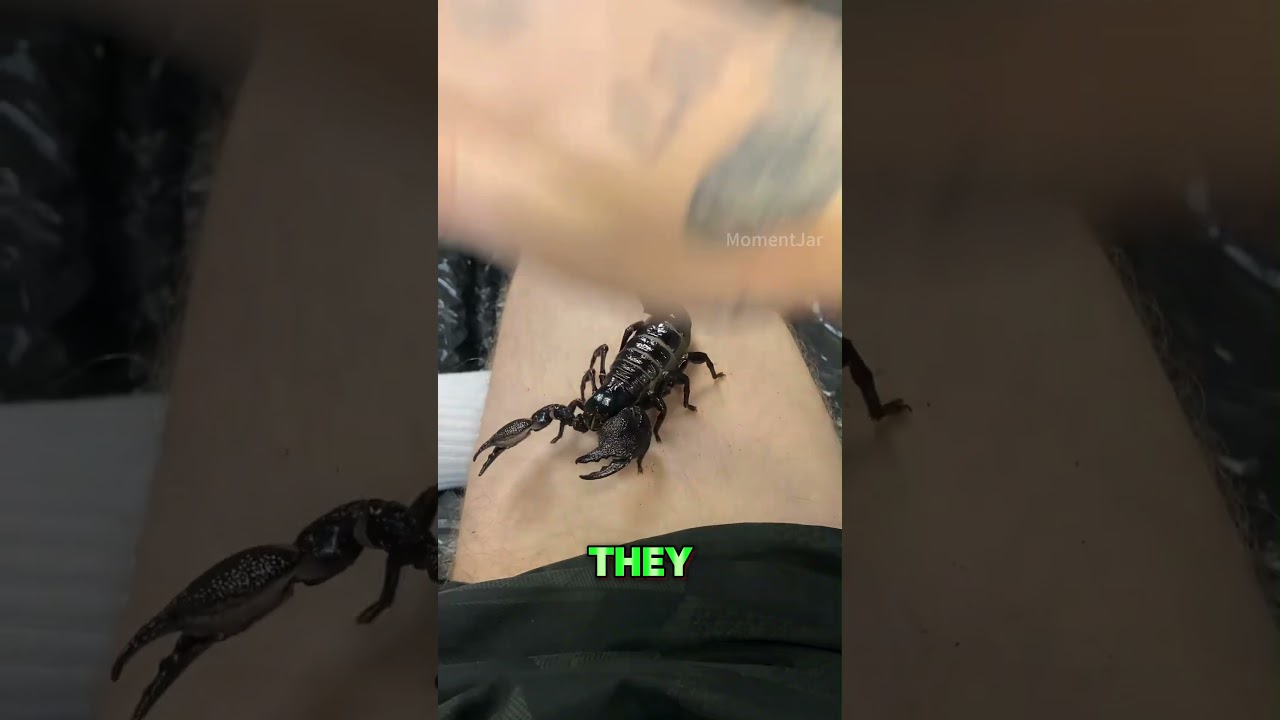 Turn them into tattoos