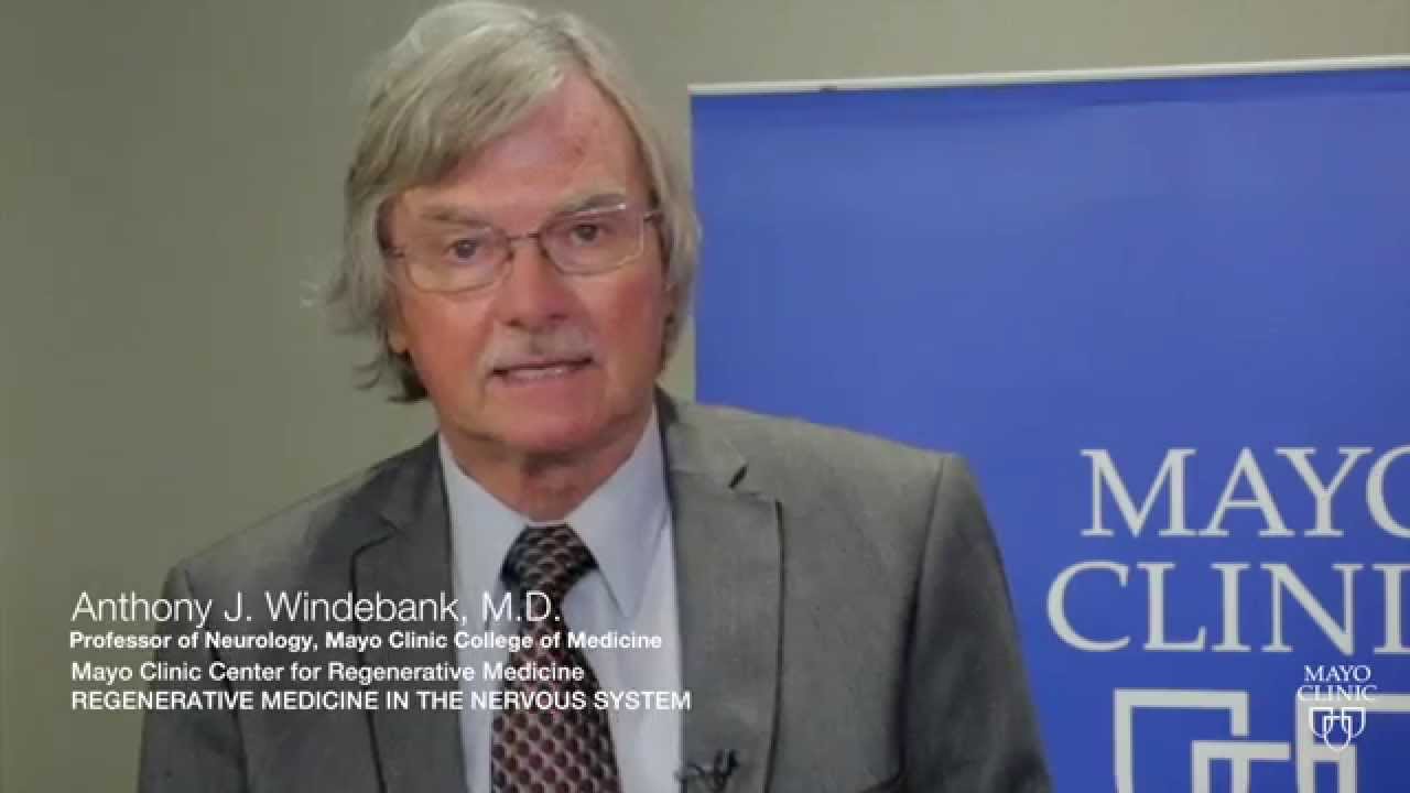 Regenerative Medicine in the Nervous System