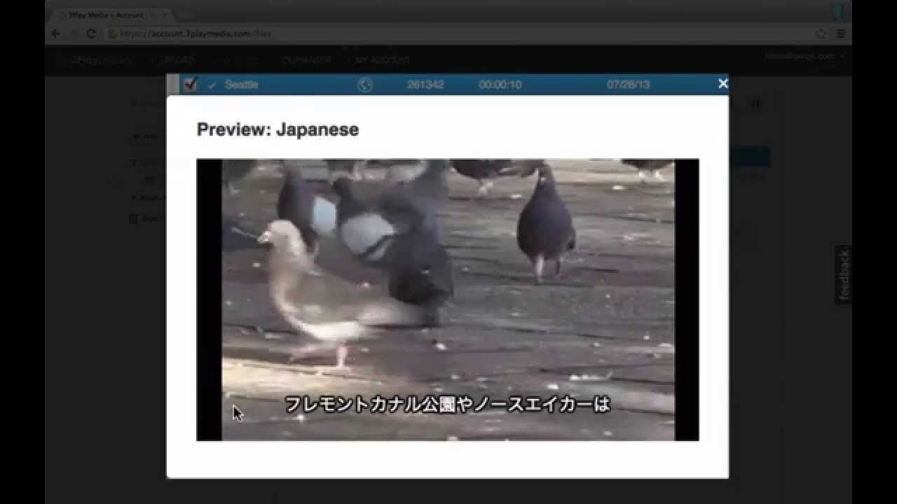 Gengo 3PlayMedia video caption translation tutorial