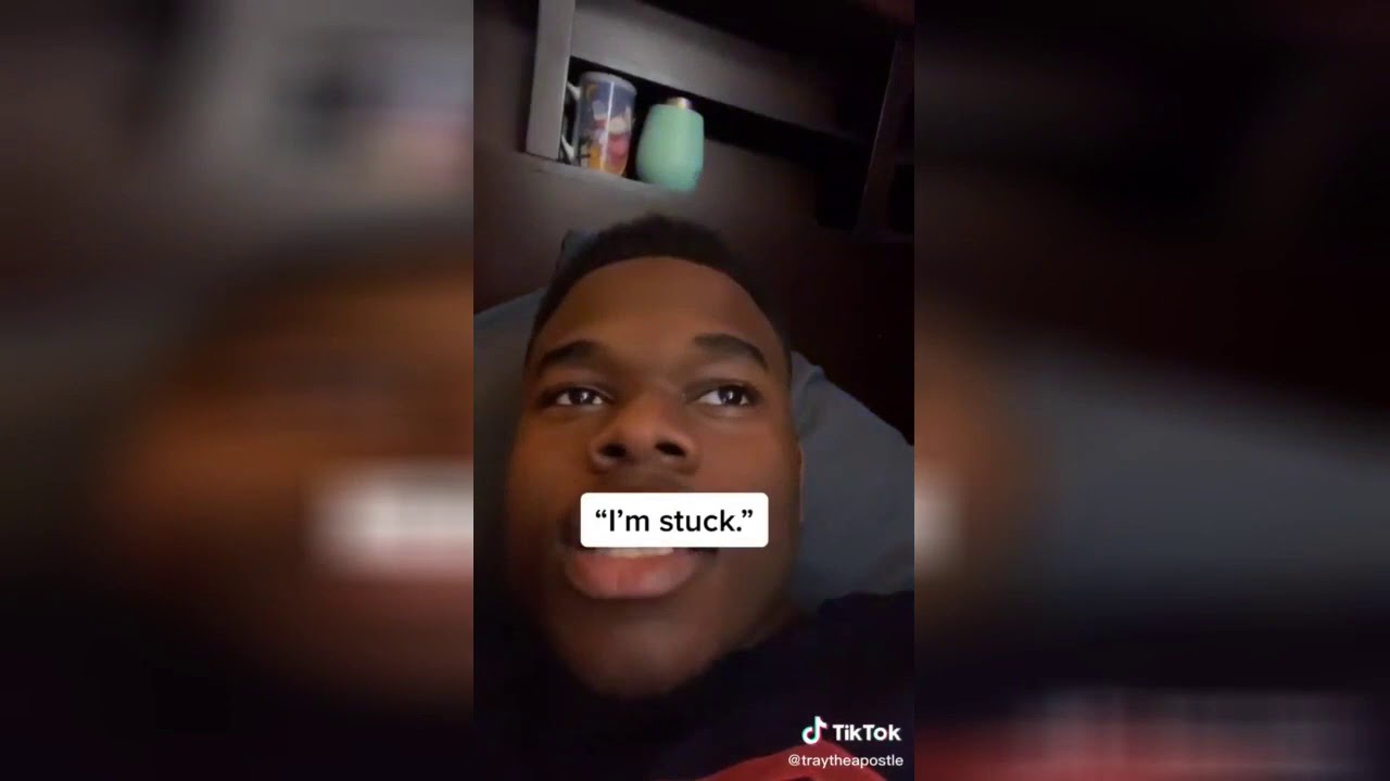 tried the trend where you invade your cat's personal space and Tofu loved - iFunny 2 September 2020