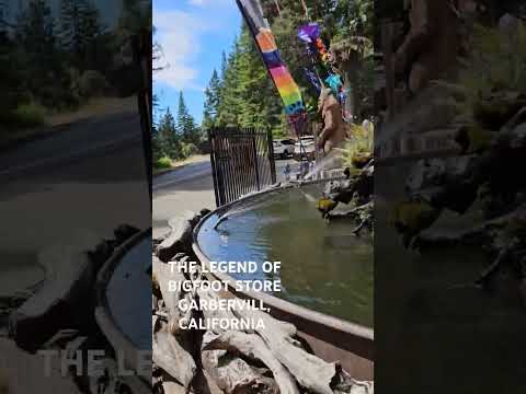 THE LEGEND OF BIGFOOT STORE GARBERCILLE,CALIFORNIA.