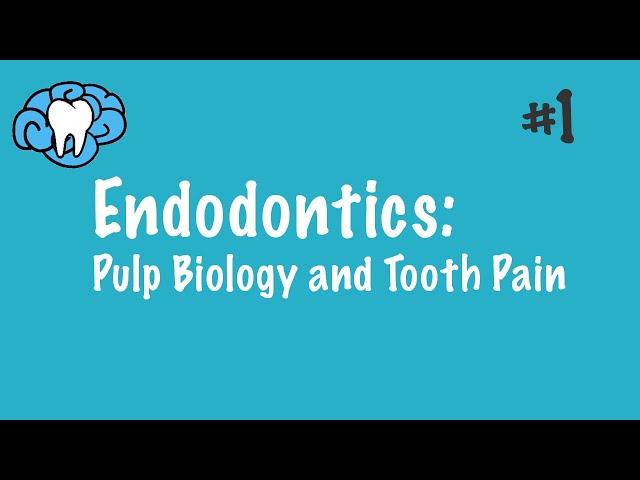 Understanding Pulp Biology and Tooth Pain in Endodontics | Galaxy.ai