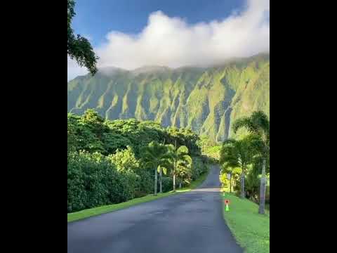 Flora | Incredible Hawaii
