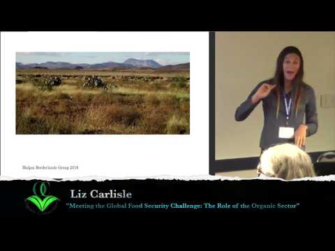 Meeting the Global Food Security Challenge: The Role of the Organic Sector