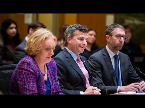 Swearing Labour MPs LOSE IT as David fronts on the Ministry for Regulation