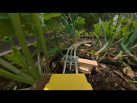 Train Journey 360