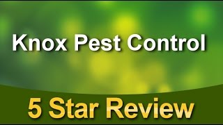 3 Best Pest Control Companies in Columbus, GA - Expert Recommendations