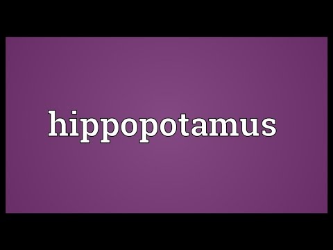 Hippopotamus Meaning