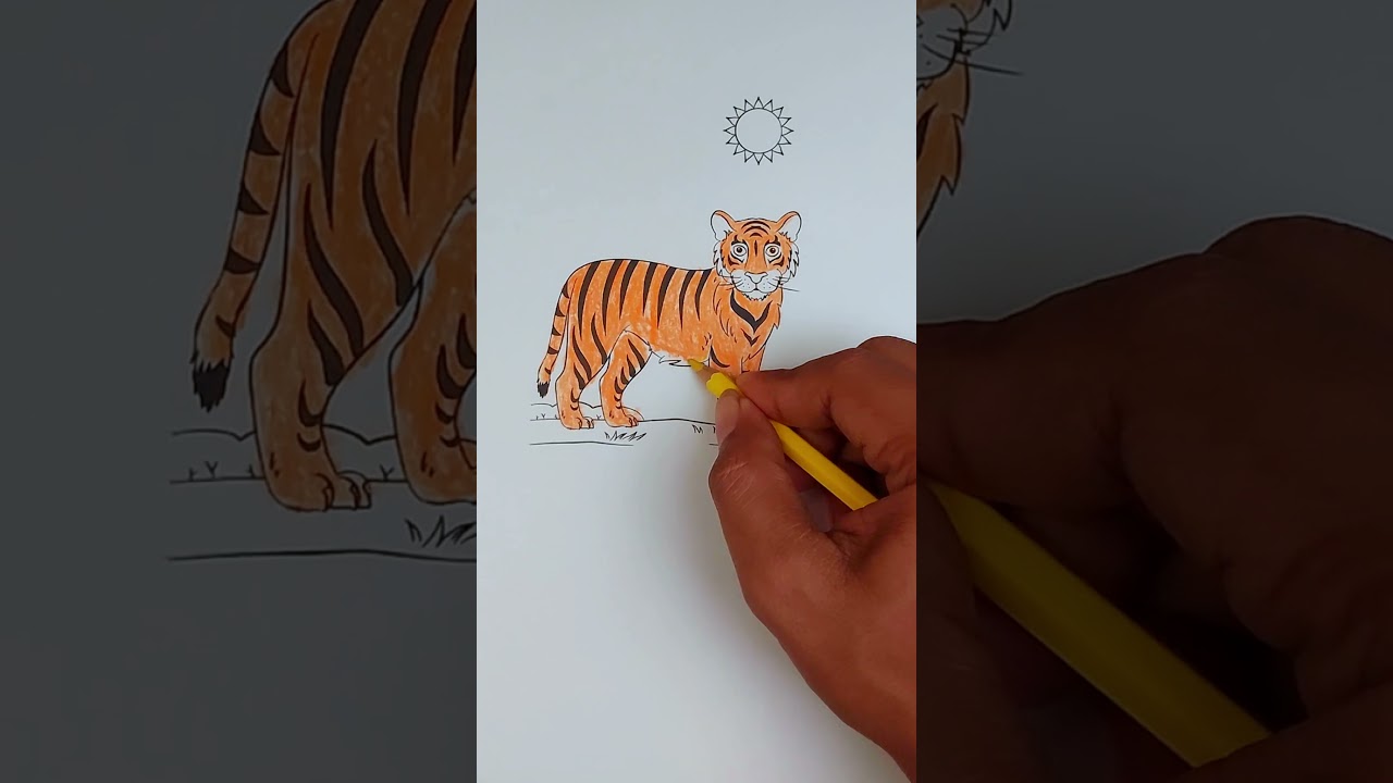 short mewarnai harimau #drawing #mewarnai #cartoondrawing #art #gambarmewarnai #animation #tiger